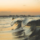 Murphy Campbell | Murphy Campbell