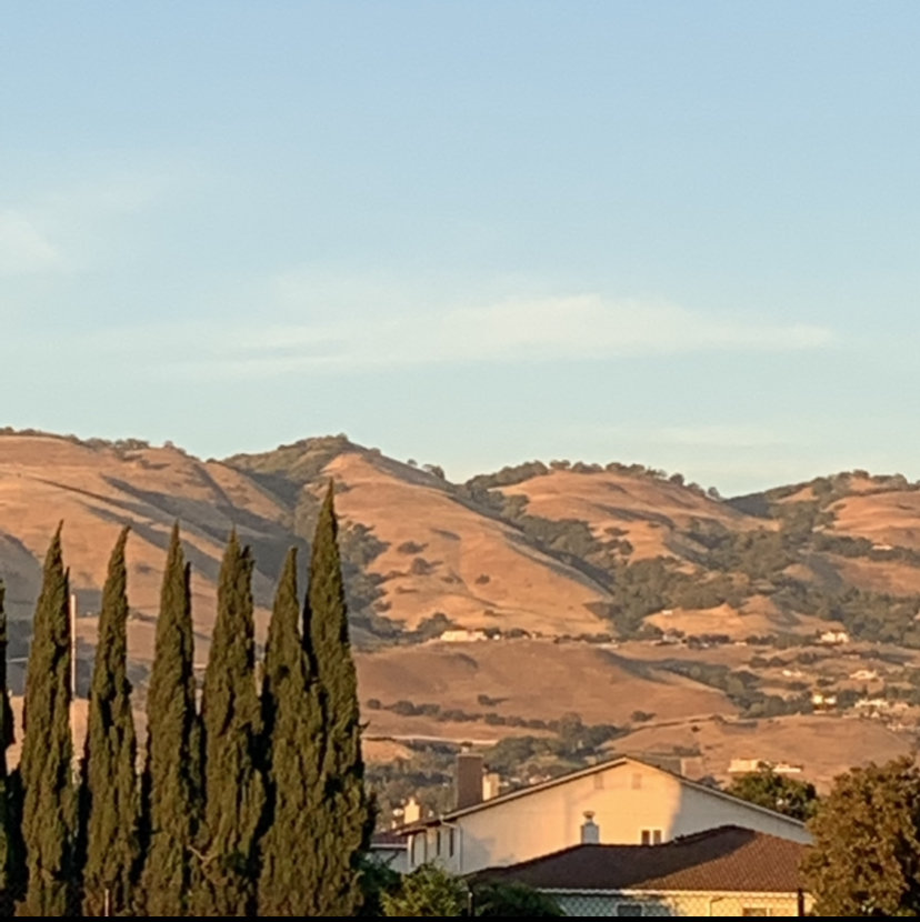 LECHON LIVE | SUNBURNT SJHC