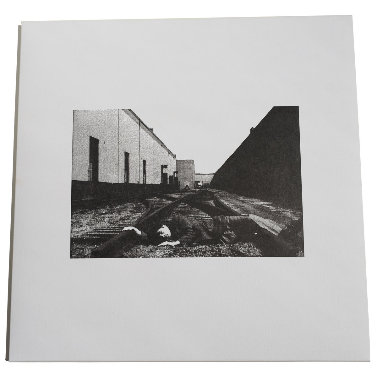 Violin Liquid Phases | Austin Larkin