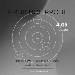 Music | Ambience Probe