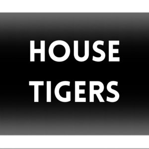 Music | House Tigers