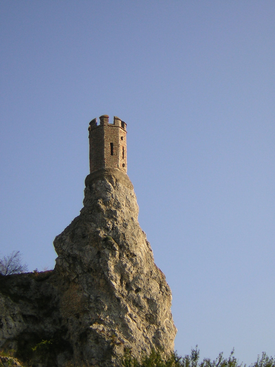 Eclectic Shock | Noel Broderick