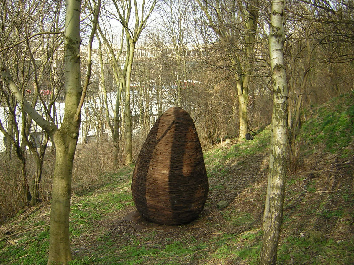 Eclectic Shock | Noel Broderick