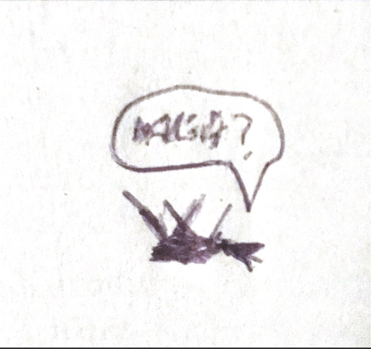 Entomology | Bug Meat