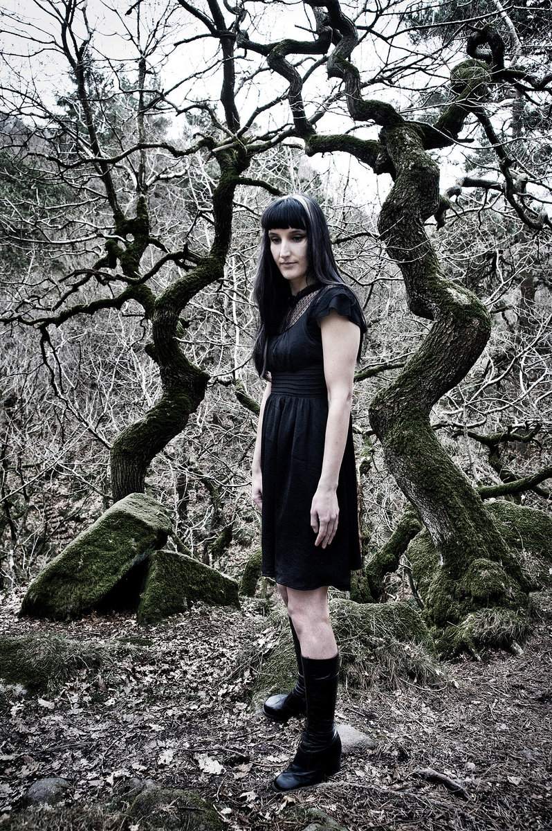 mrdavidr's collection | Bandcamp