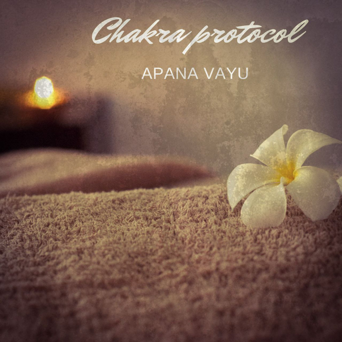 Apana Vayu | Chakra Protocol