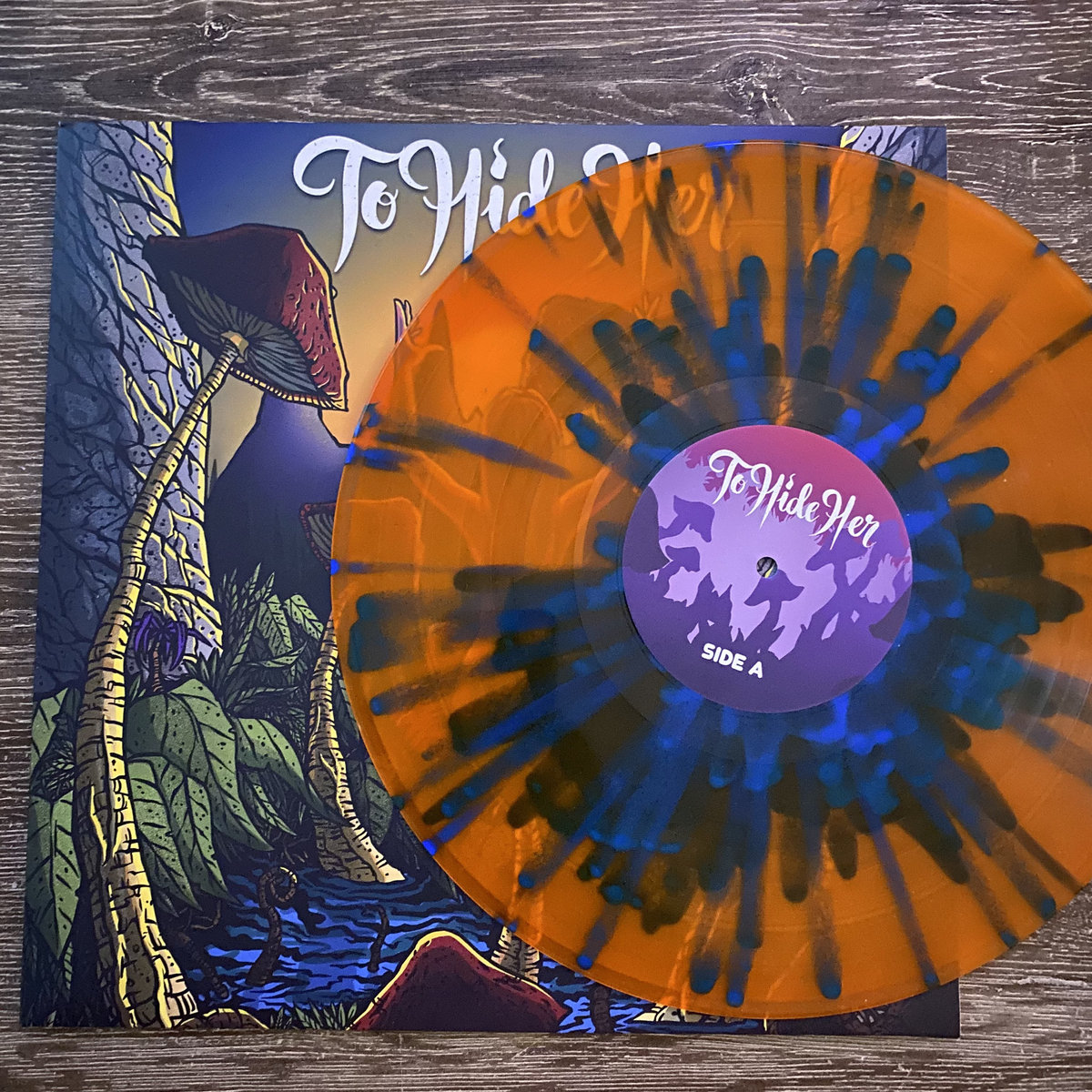 2011 - To Hide Her | Toehider