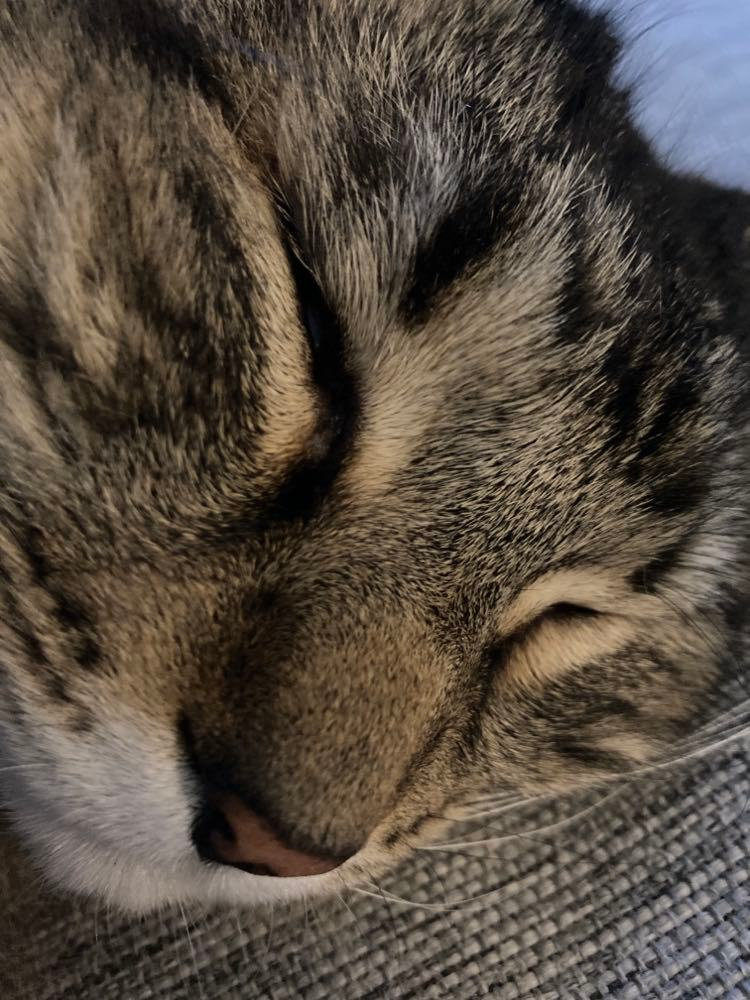 How many Me's are there? | ItsTripTimeOclock