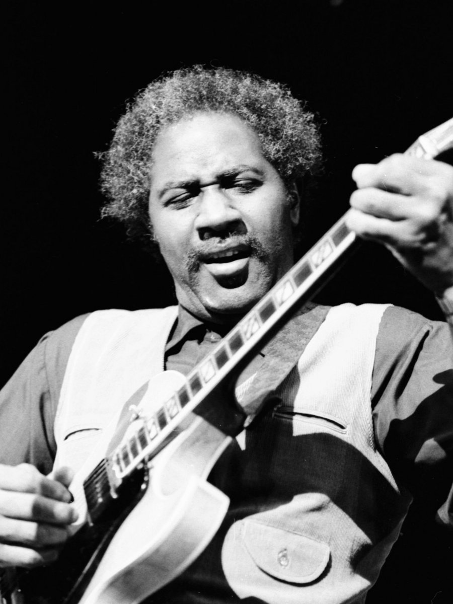 Somebody Loan Me A Dime (Remastered) | Fenton Robinson