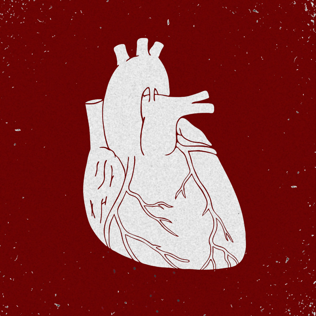 Invencible | La Corbata Fea