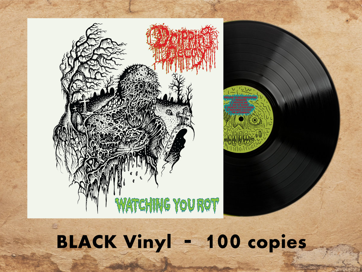 DRIPPING DECAY - "Watching you Rot" | FKR#108 - DRIPPING DECAY ...