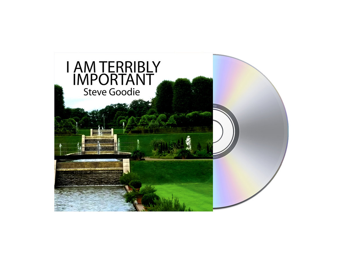 I Am Terribly Important | Steve Goodie