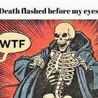 Shadow (2015) | Scardust