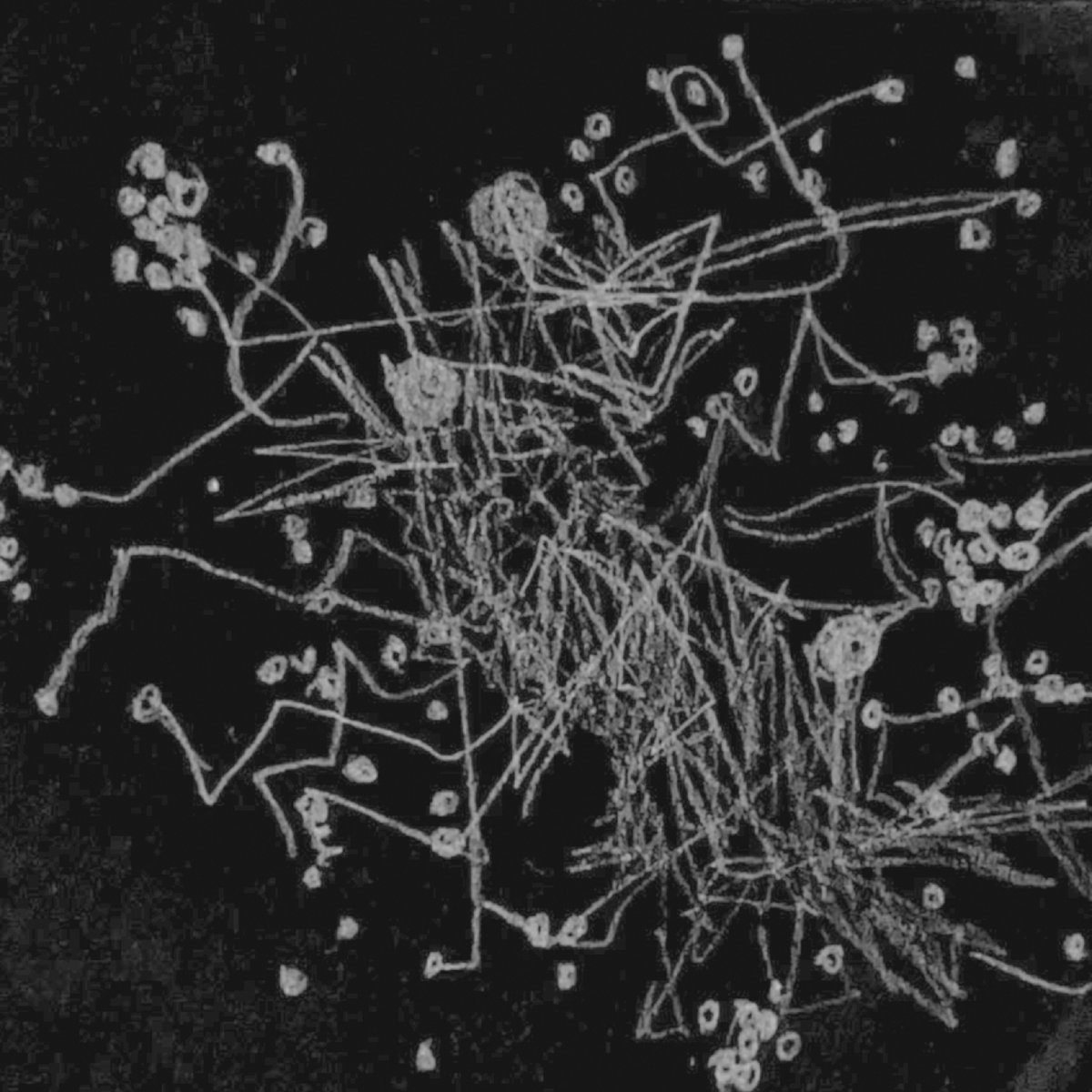 SMRÓD - VOL.0 | SMRÓD