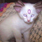 Physically Sick 2 | Physically Sick 2