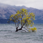 Covered Mirror Vol 1. - Smooth As Silk | Unitopia | Bird's Robe Records