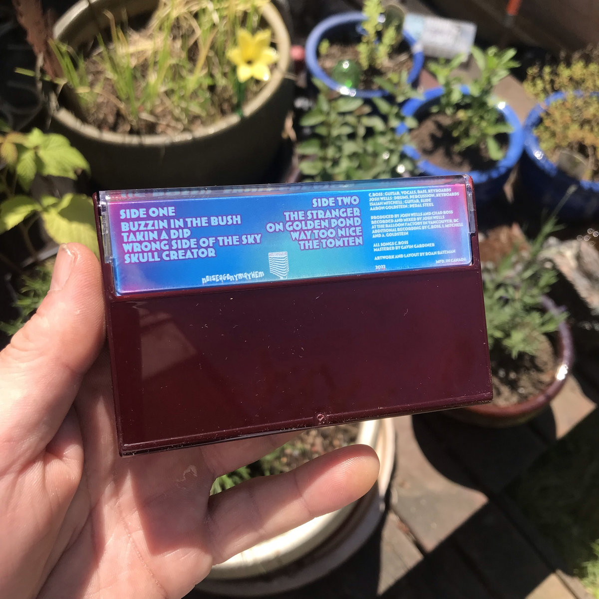 C.Ross 'Skull Creator' | C.Ross | NoiseAgonyMayhem