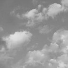 Baker's Dozen: DIBIA$E | DIBIA$E