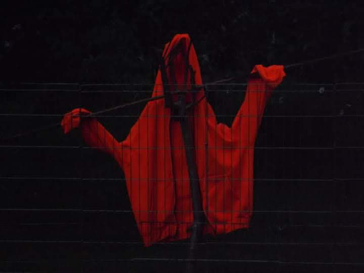 Bright Side Gazing | The Humble Green