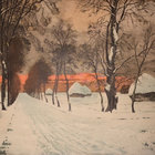 MOTOR FUNCTION | binki