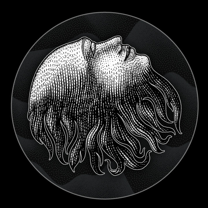 Amadan Aisling: The Fool's Dream | Amadan Aisling