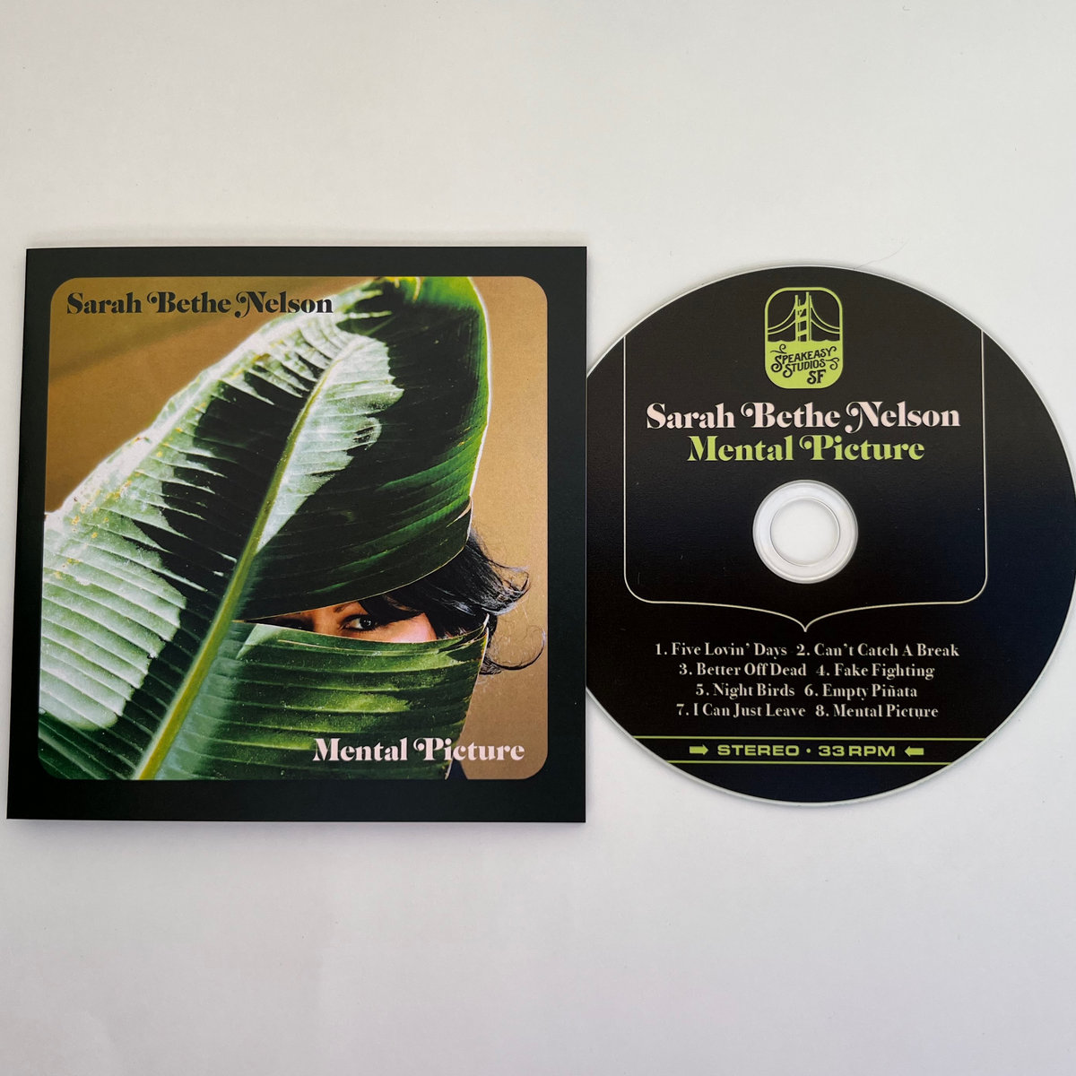 Mental Picture | Sarah Bethe Nelson