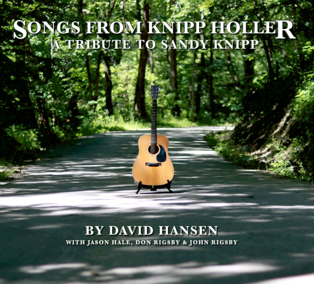 Songs from Knipp Holler | David Hansen