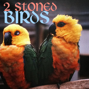 Audio | 2 Stoned Birds