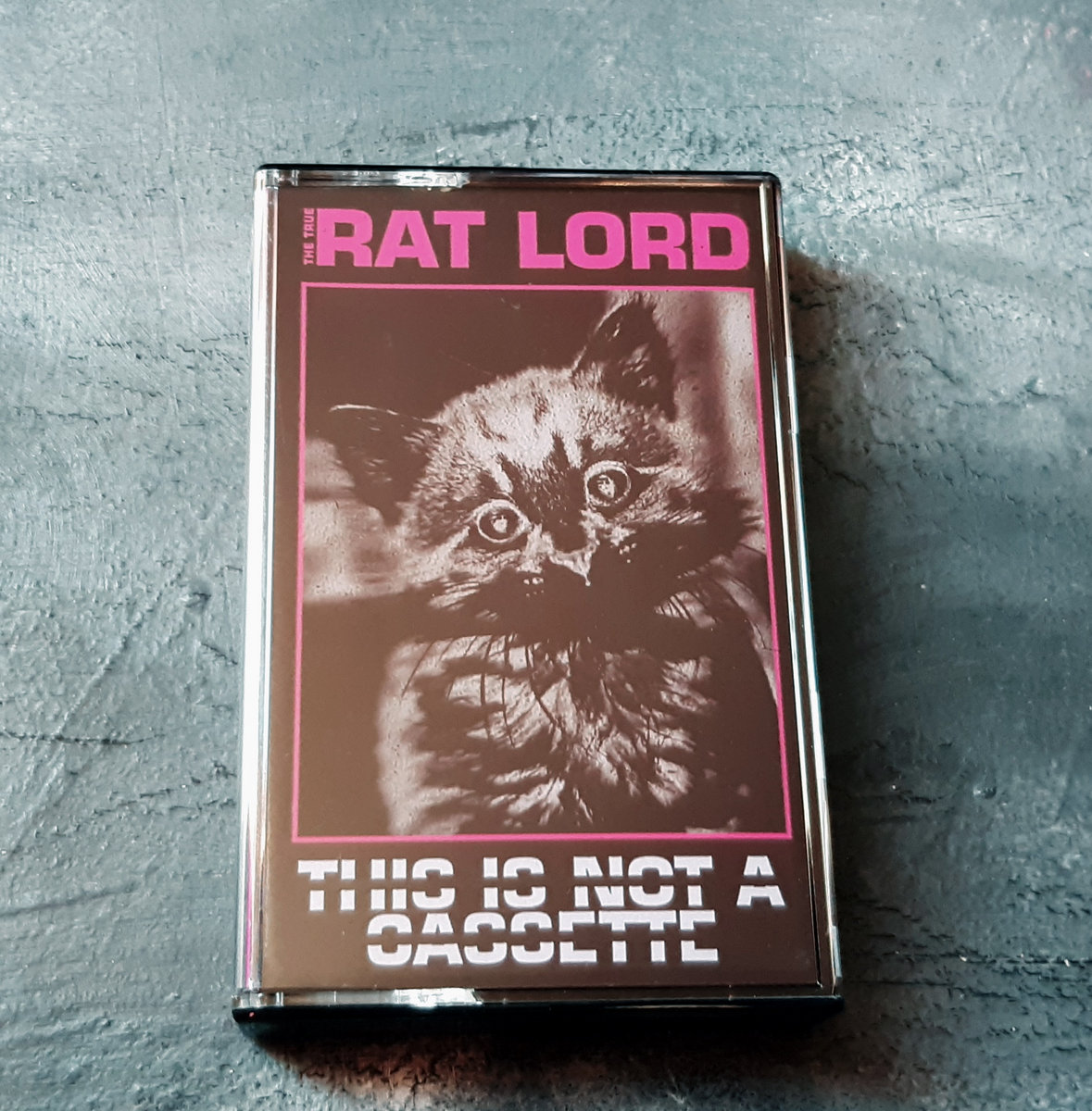 This Is Not A Record | Rat Lord | THE HILLS ARE DEAD - Records