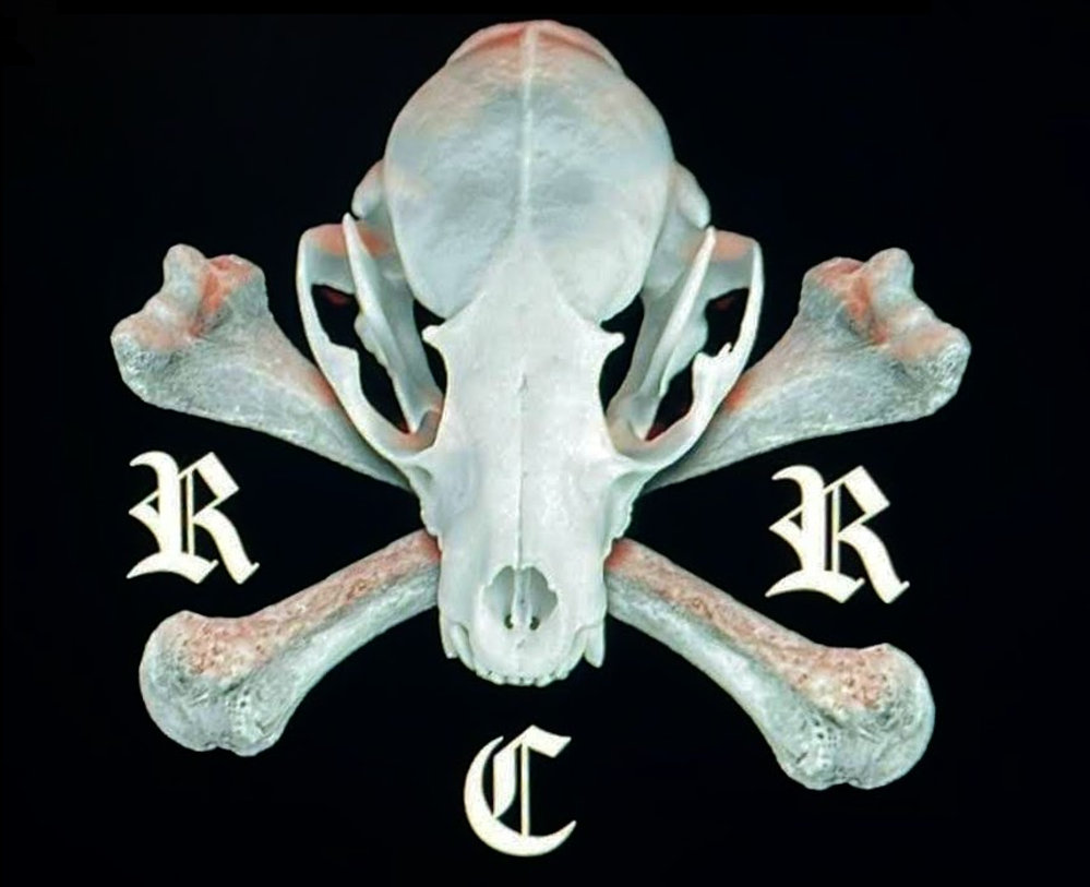 YOU DIDN'T ASK FOR THIS | Raccoon City Riot