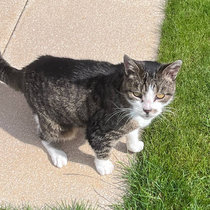 apmilling's collection | Bandcamp