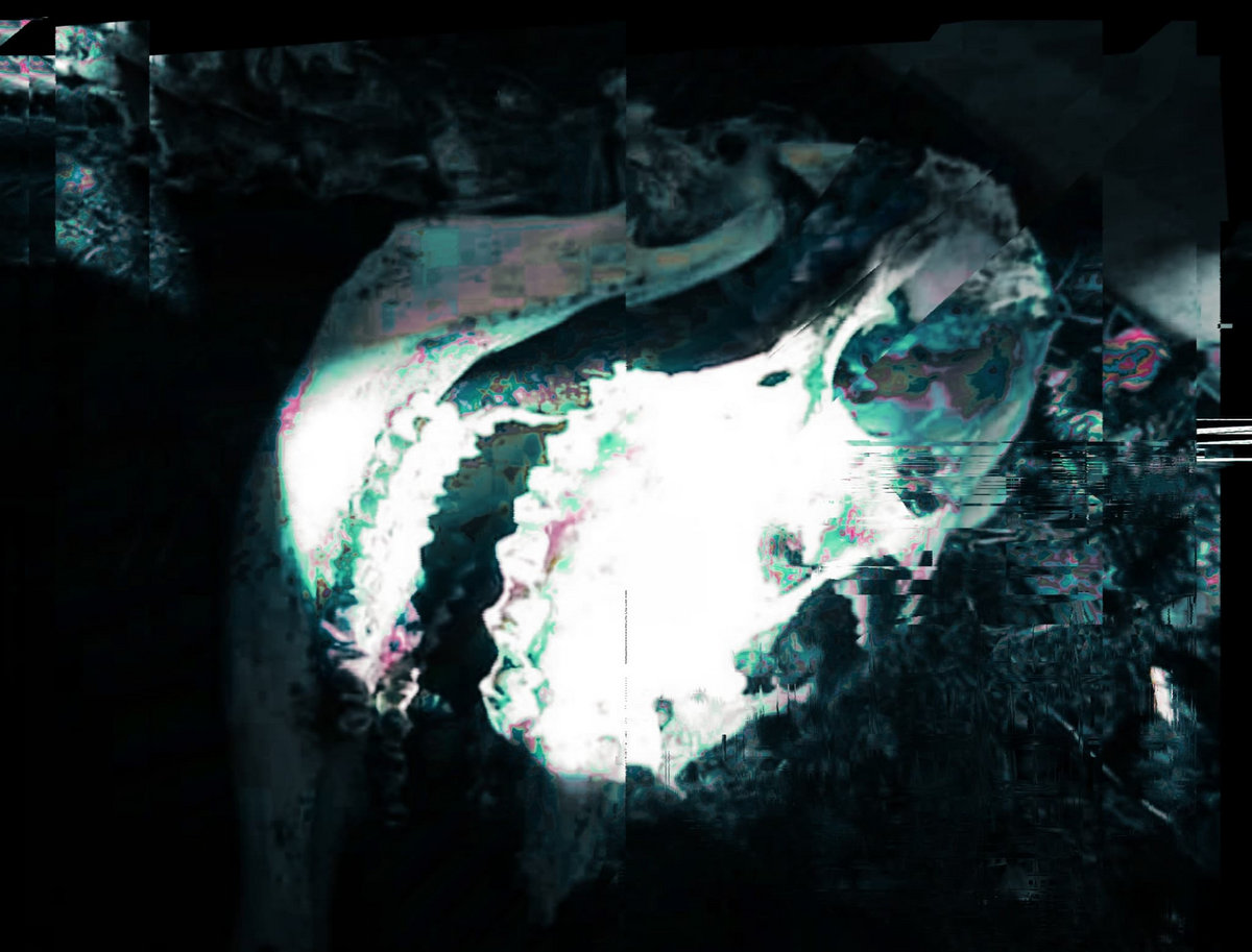 Shadows Gaze | Diabolic Waste