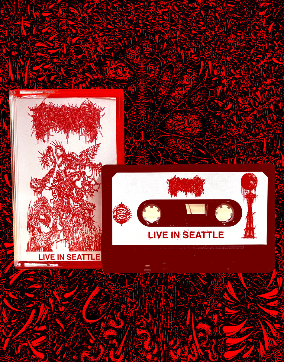 LIVE IN SEATTLE | CIVEROUS