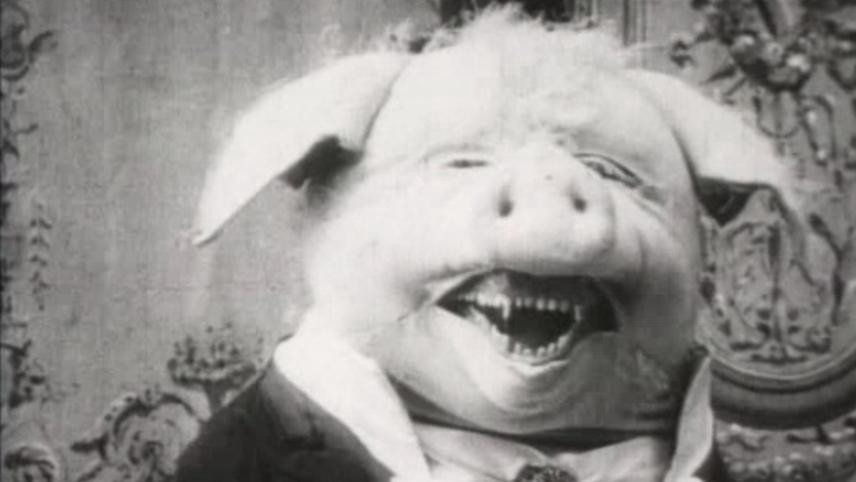 3-Ring Binder Labelled "Acceptable Casualties" | Some Call Him Pig