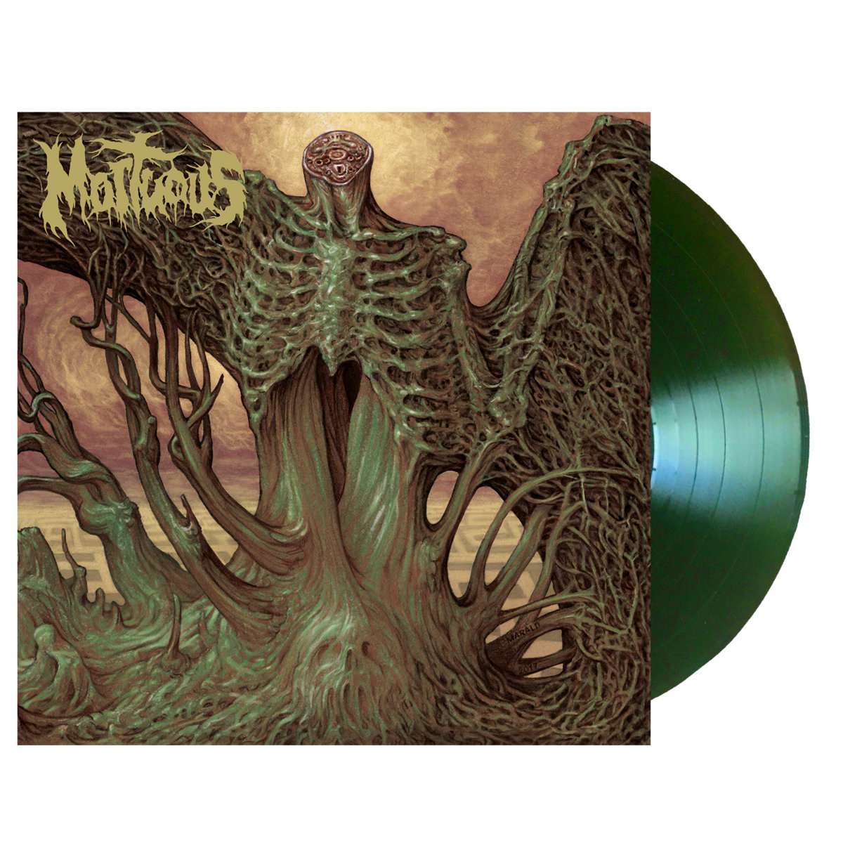 Through Wilderness | Mortuous