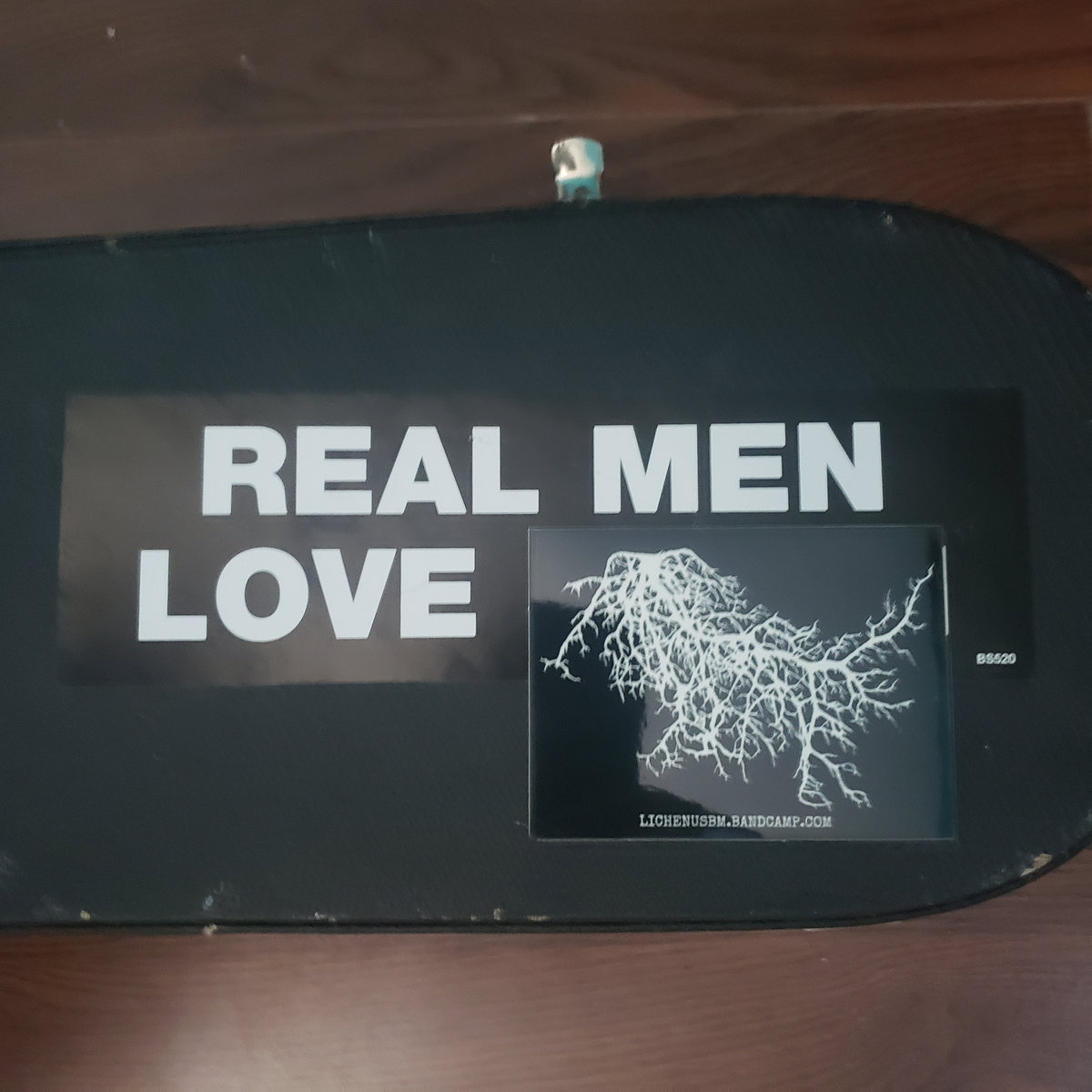 Lichen logo sticker | Lichen