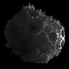 memory palace | Intervals