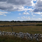 Annihilation (Music From The Motion Picture) | Ben Salisbury & Geoff Barrow