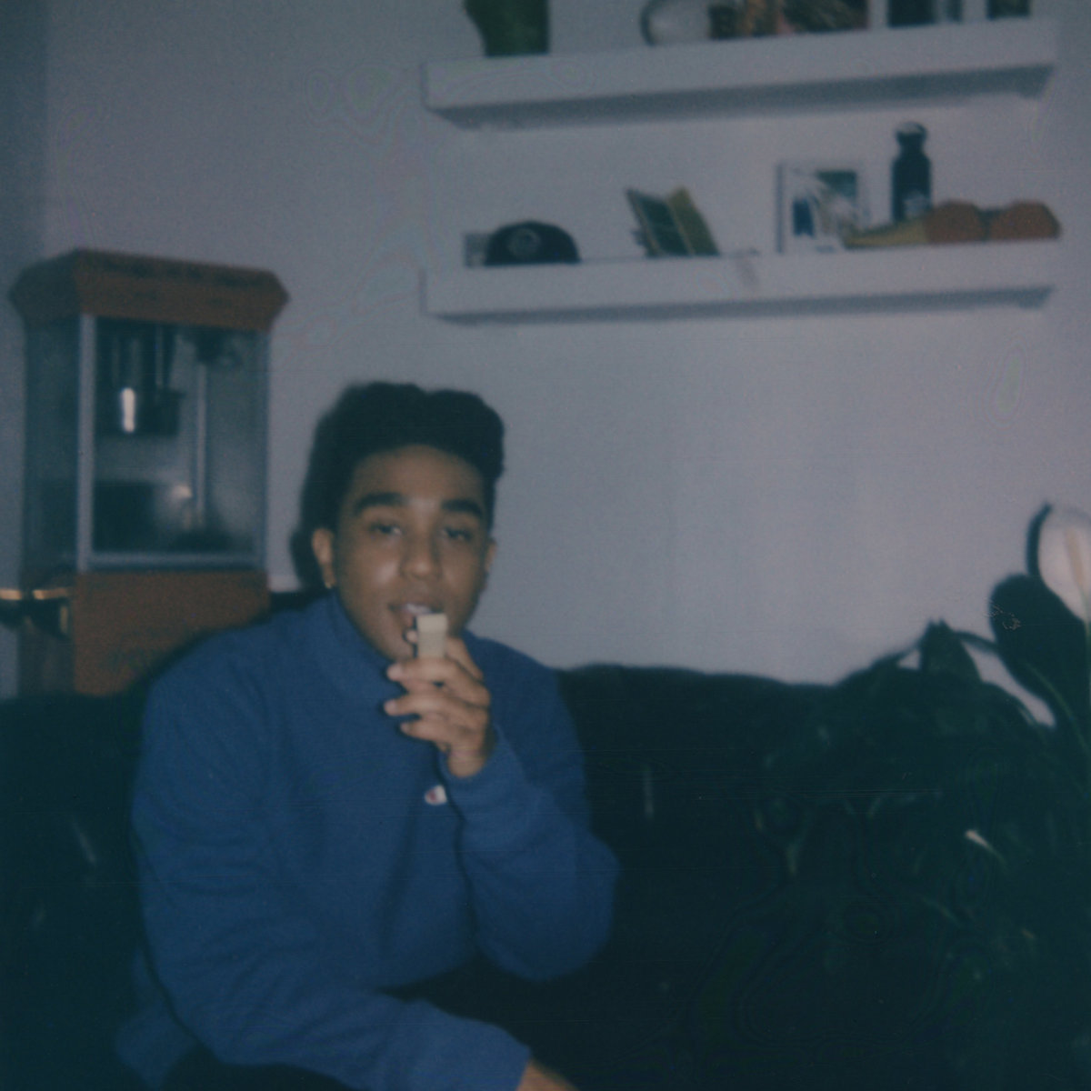 WE ALL LIE TO OURSELVES SOMETIMES | James Dapper