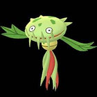 Amy Locust Whatever | CBMC