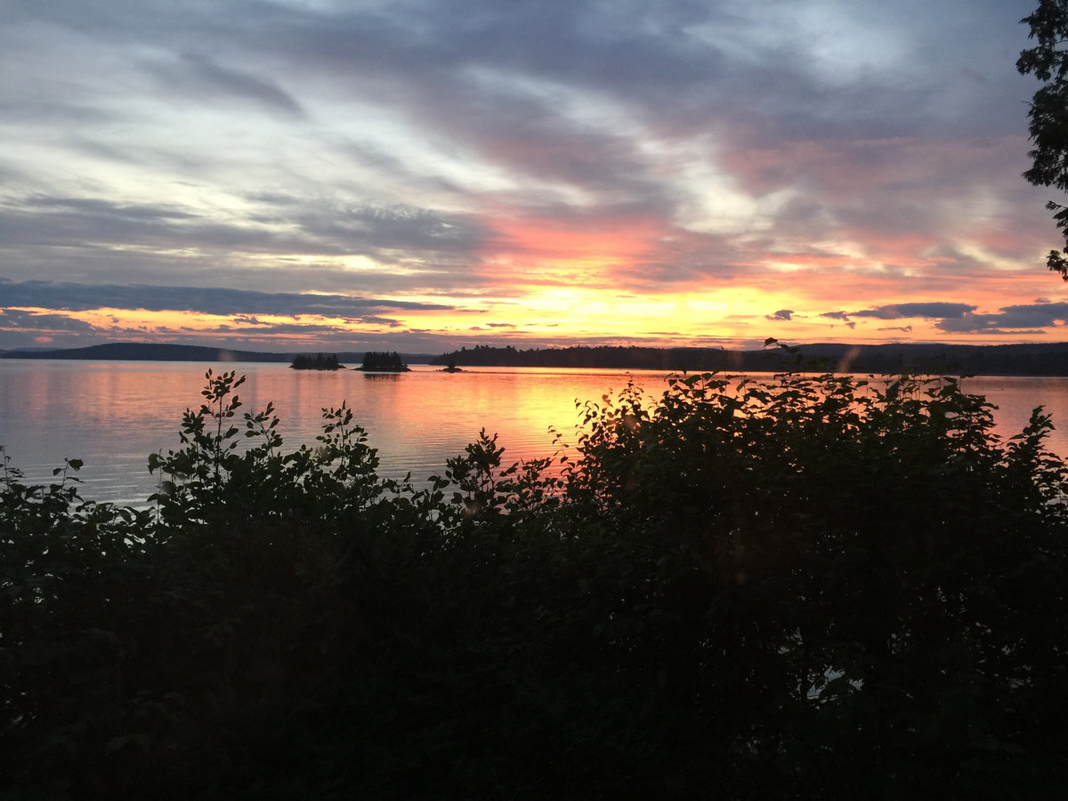 The Situation | ë-ZaMM