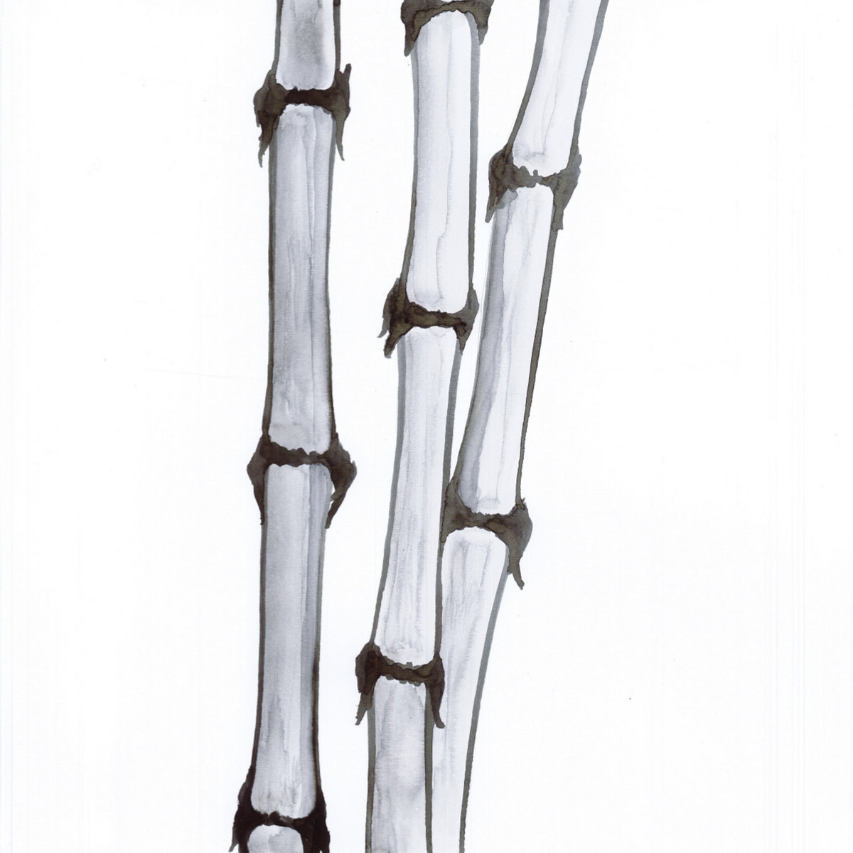 Outsider Art | Floating Action | Almost Halloween Time Records