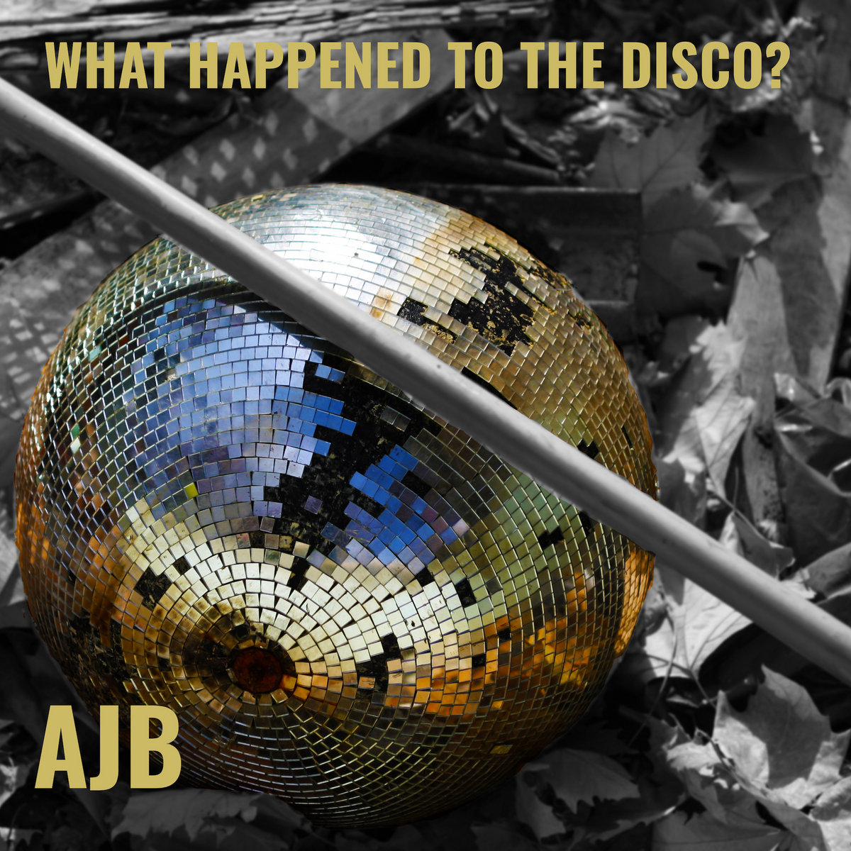 What Happened To The Disco? (Deluxe Edition) | Evolve3