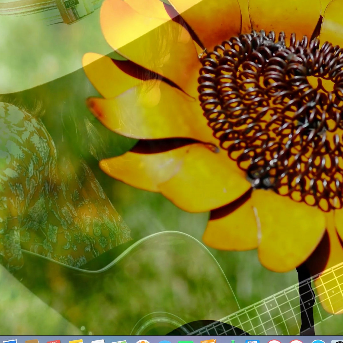 Into The Fire | Diane Coll