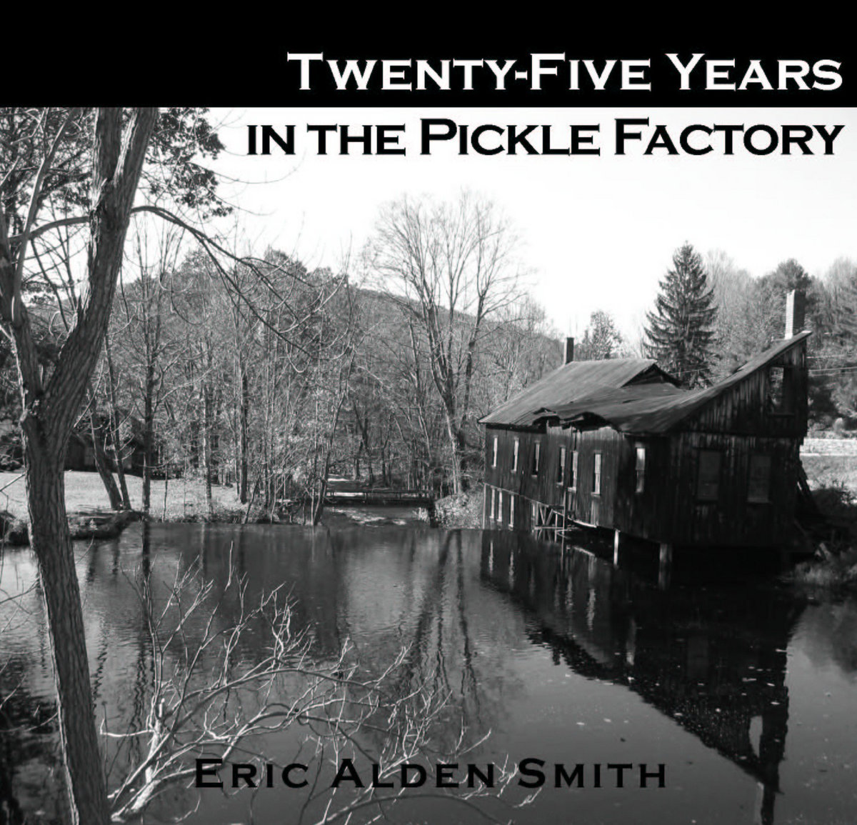 Twenty-Five Years In the Pickle Factory | Eric Alden Smith