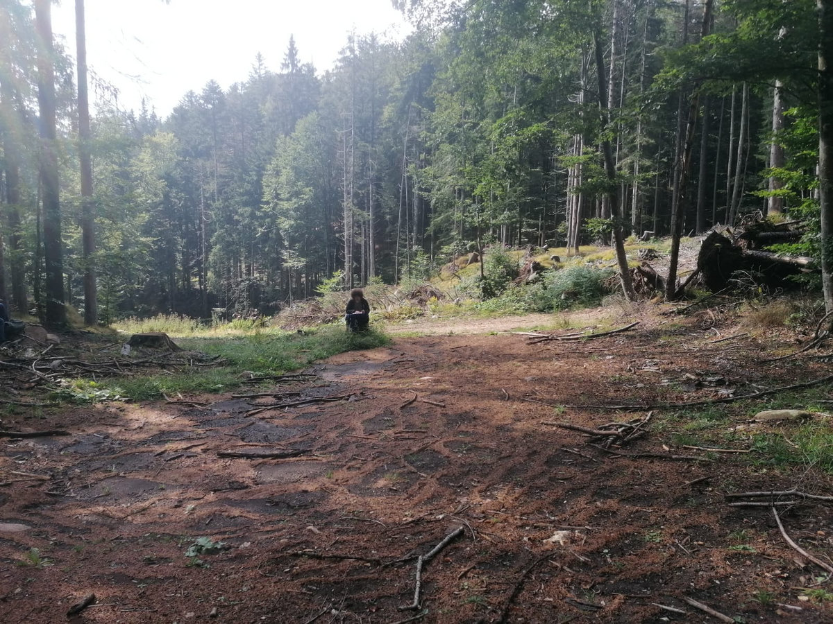 two quotations | Jeremy Rosenstock