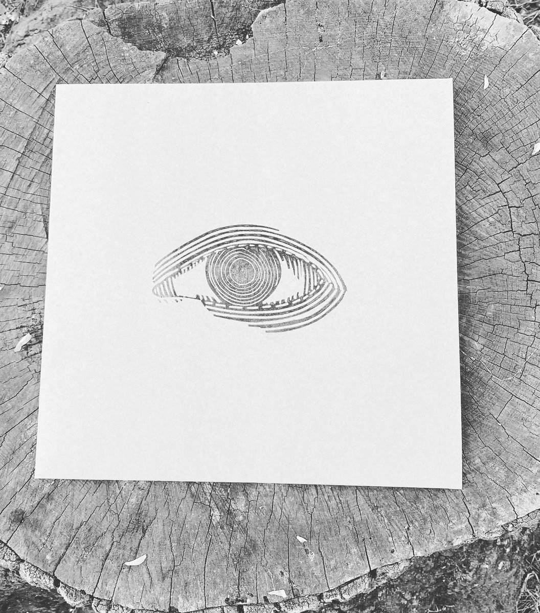 Collective Vision | The Vision Reels