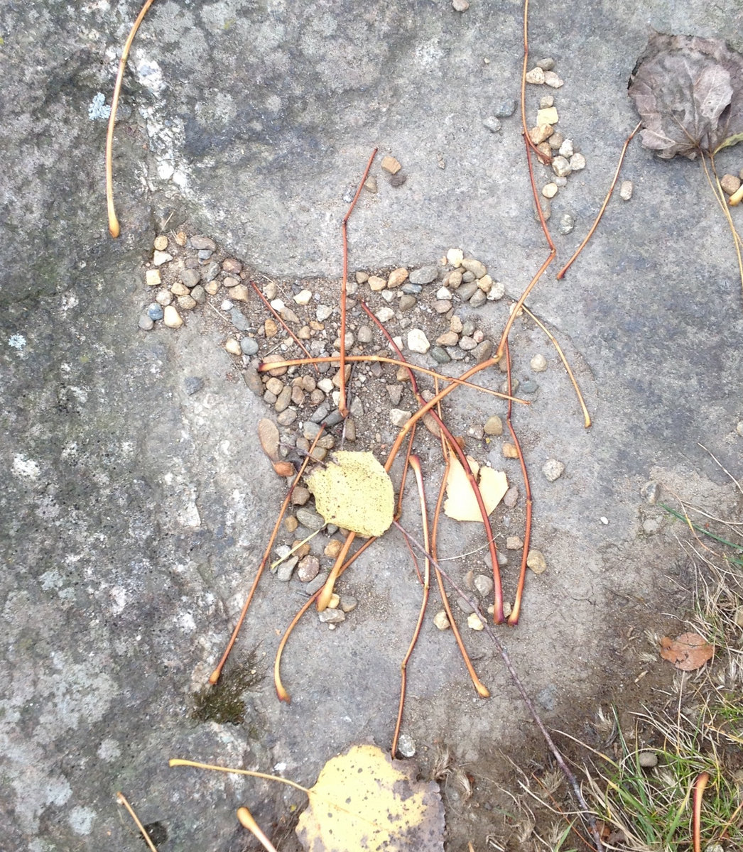 Brief Reprieve | Rob Gerry