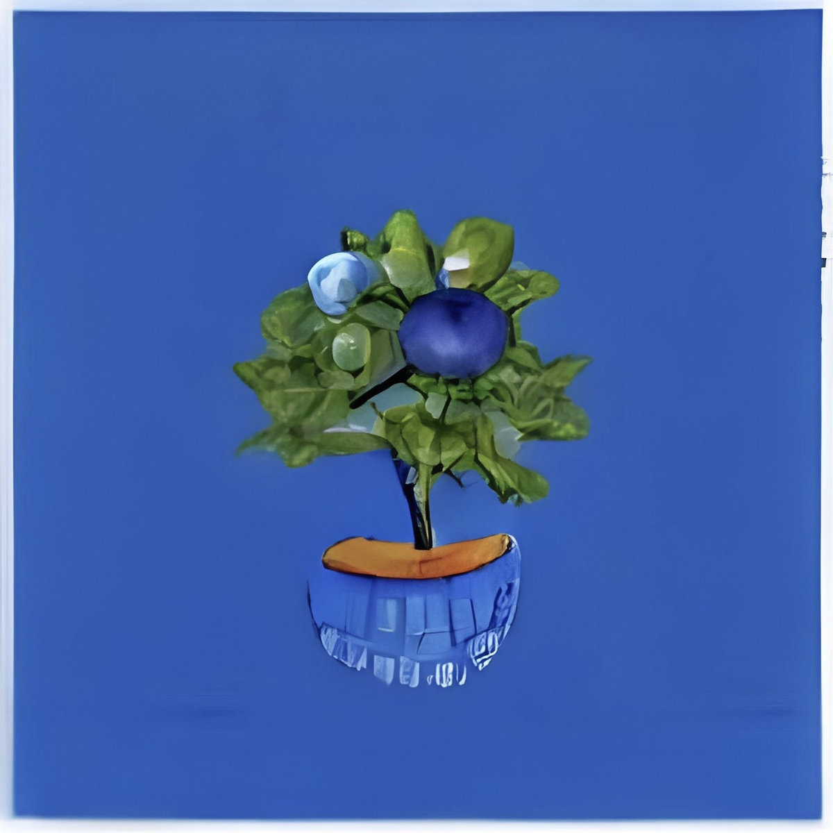 A taste of Blue Apple Fields | Blue Apple Fields