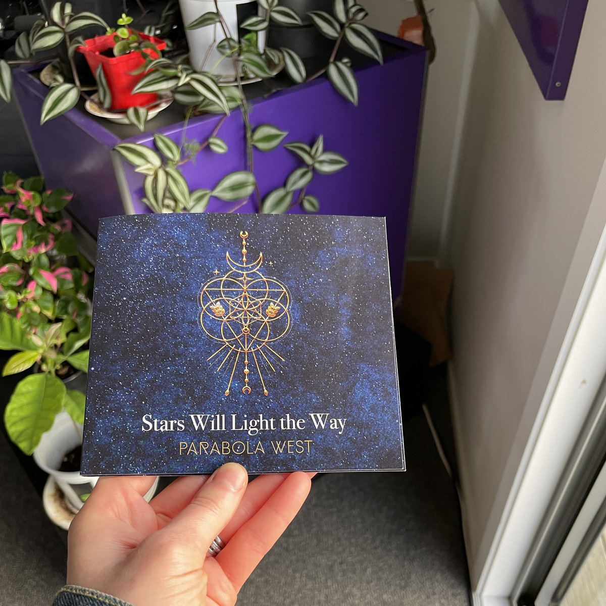 Stars Will Light the Way | Parabola West